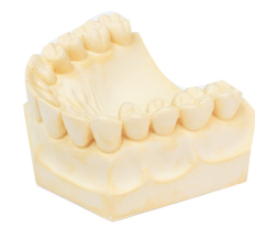 Labstone Type III 25Lb - Curio Dental – Curio.Dental