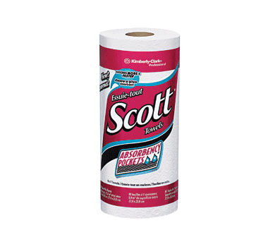Scott Kitchen Towels 20 Rolls/Case – Curio.Dental