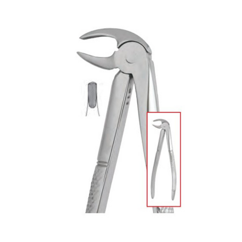 Extraction Forceps_1 – Curio.Dental